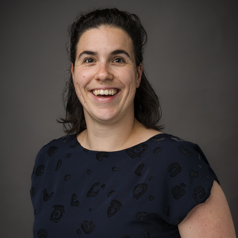 IT-Audit - Govers Accountants / Adviseurs